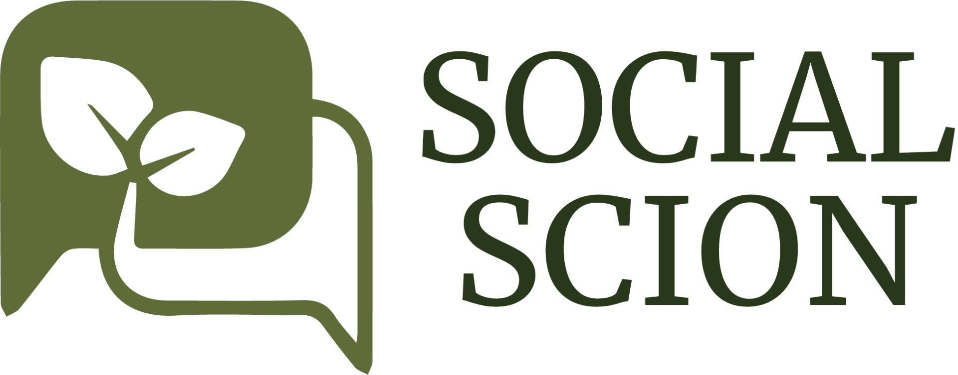 Social Scion Management Led By Passionate Storytellers